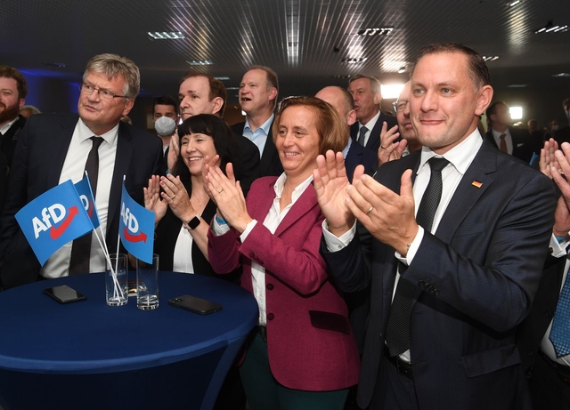 Rise of Germany's AfD signals growing support for pro-Russian policies