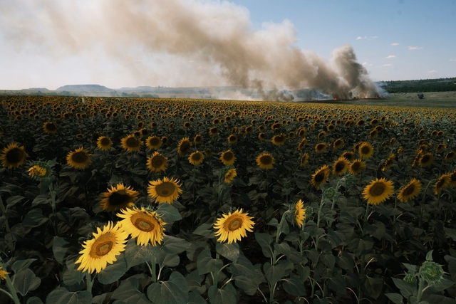 Chart of the week: Food prices fuel inflation in Ukraine amid climate ...