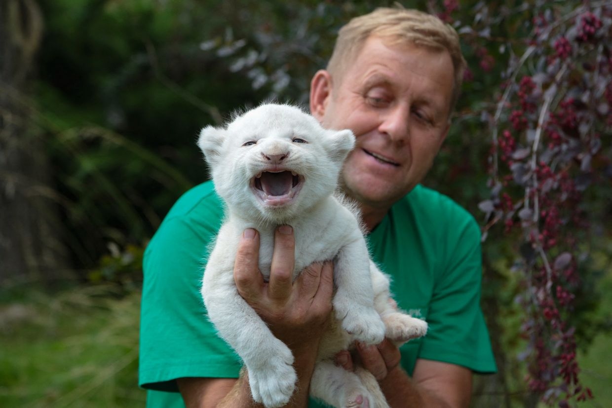 Russia ordered 2 assassination attempts on popular journalist Dmytro ...