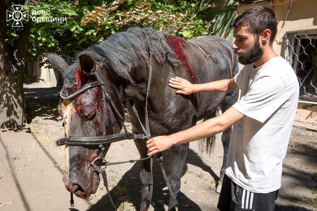 Russian drone attack on Odesa injures 11, hits residential areas, horse ...