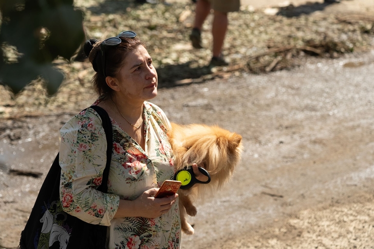 'Moscow's true answer to peace efforts' — Russian mass attack on Kyiv ...