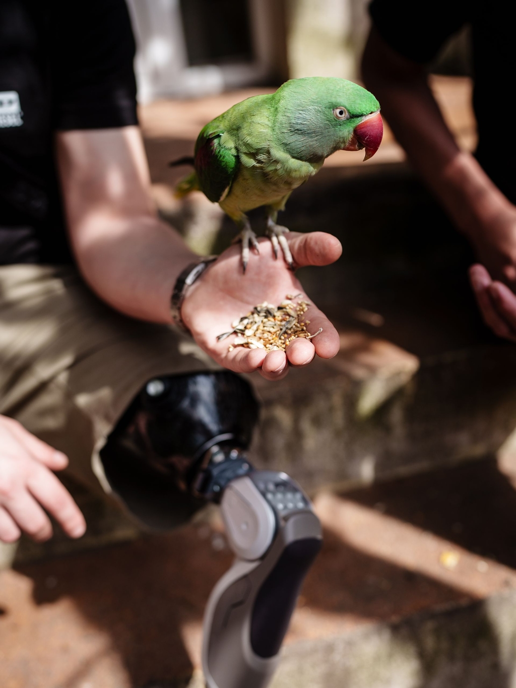 This place in Ukraine keeps birds safe from the war