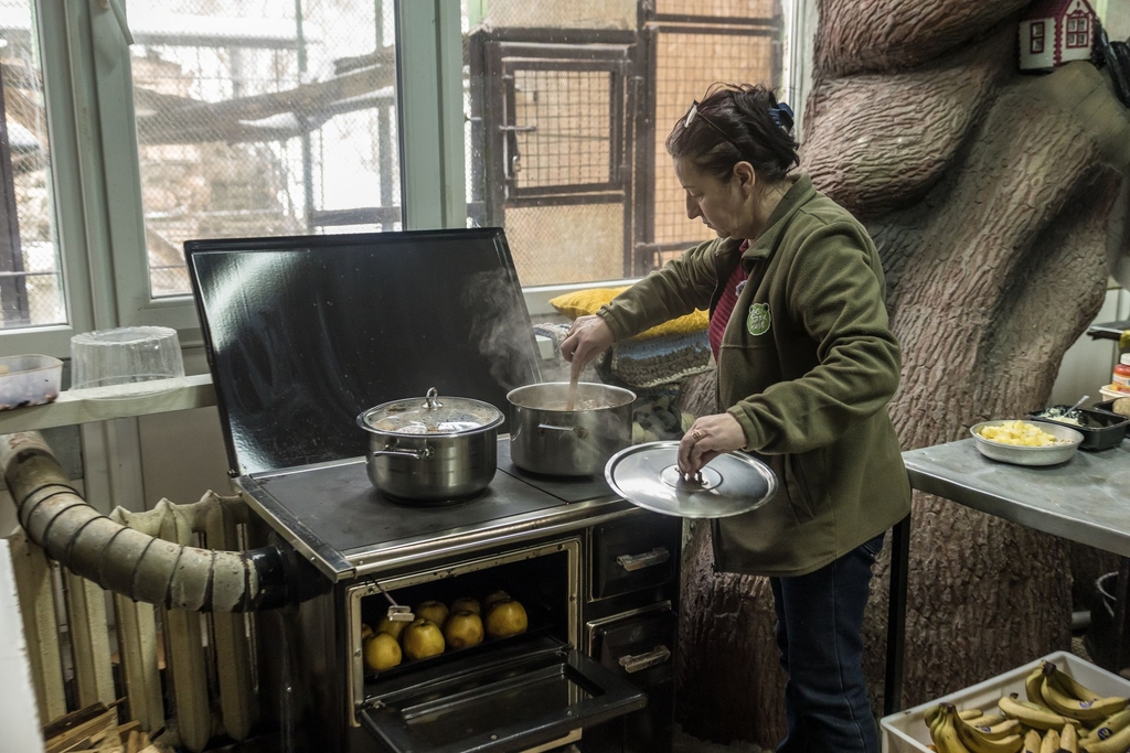 How to keep an elephant and a gorilla warm during Kyiv's coldest winter ...