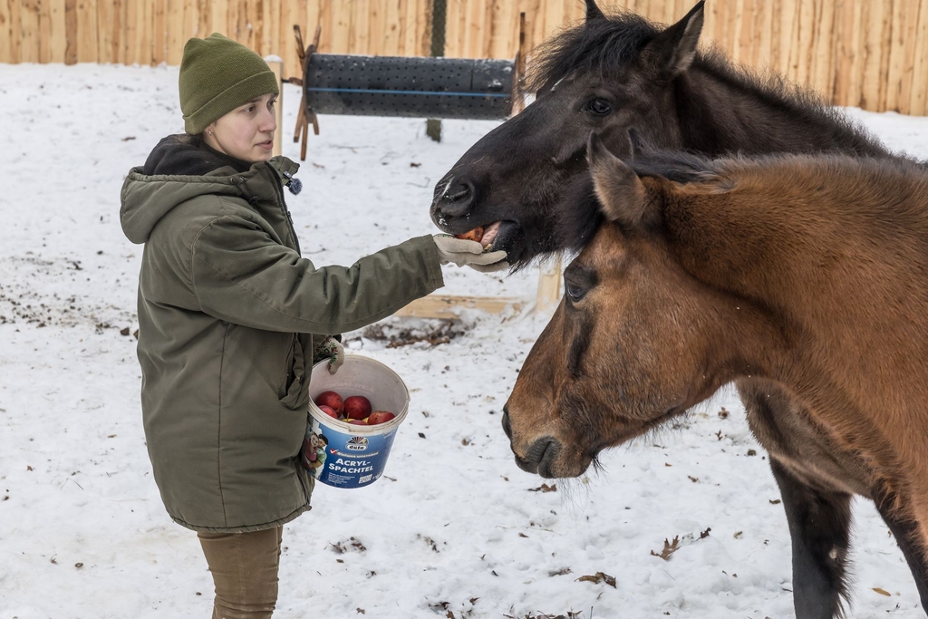 How to keep an elephant and a gorilla warm during Kyiv's coldest winter ...