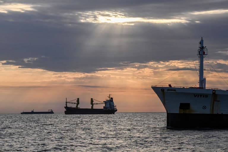 60 million tons of cargo exported so far through Ukrainian maritime ...