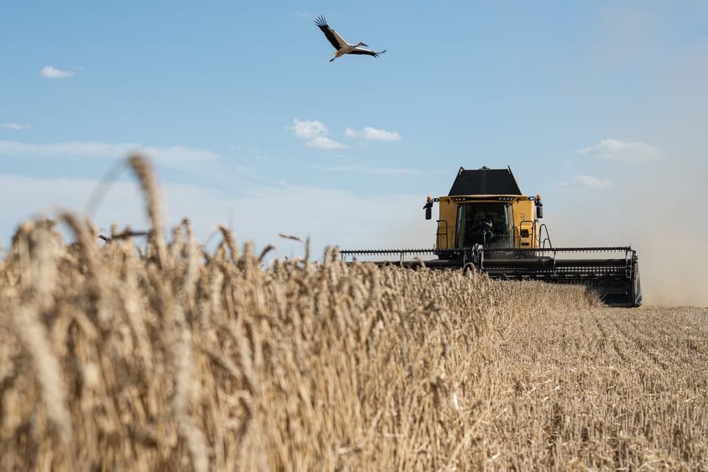EU to restore quotas on Ukrainian farm imports in June, Bloomberg reports