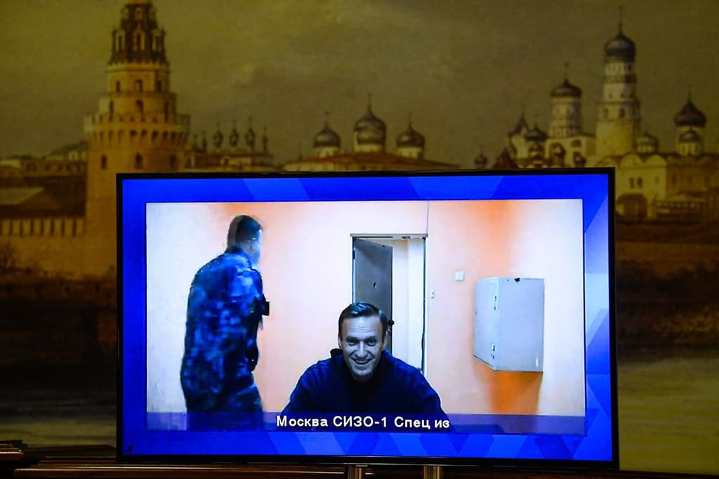 Russia likely killed opposition leader Navalny with dart frog poison, 5 ...