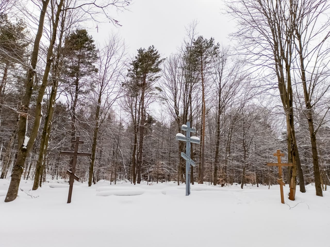 Kyiv recognizes forced resettlement of 700,000 Ukrainians from ...