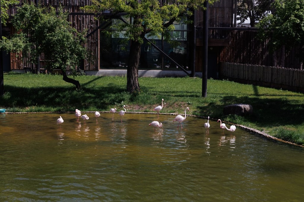 Ukrainian losses - The Kyiv Independent