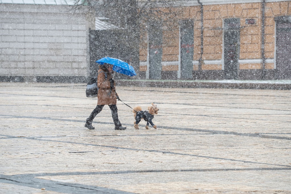 Kyiv - The Kyiv Independent