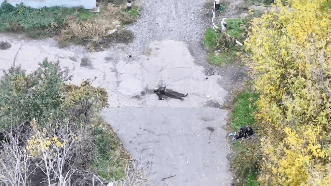 Amid controversial elections, Georgian protestors attempt to storm ...